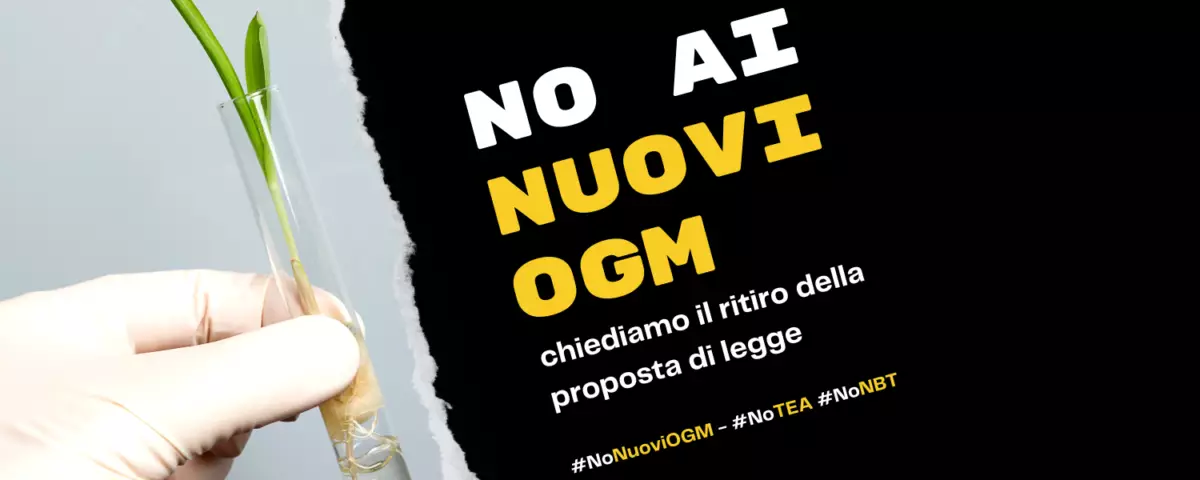 24 associazioni chiedono il ritiro della proposta di legge sui nuovi OGM
